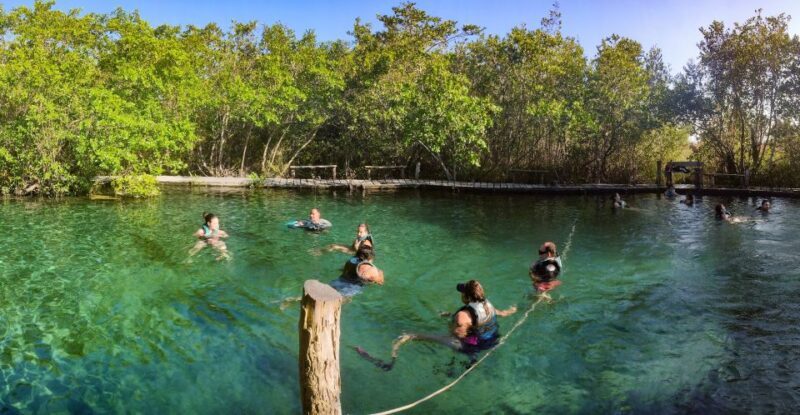 From Riviera Maya: Holbox Full-Day Tour with Lunch - Practical Tips for Your Day