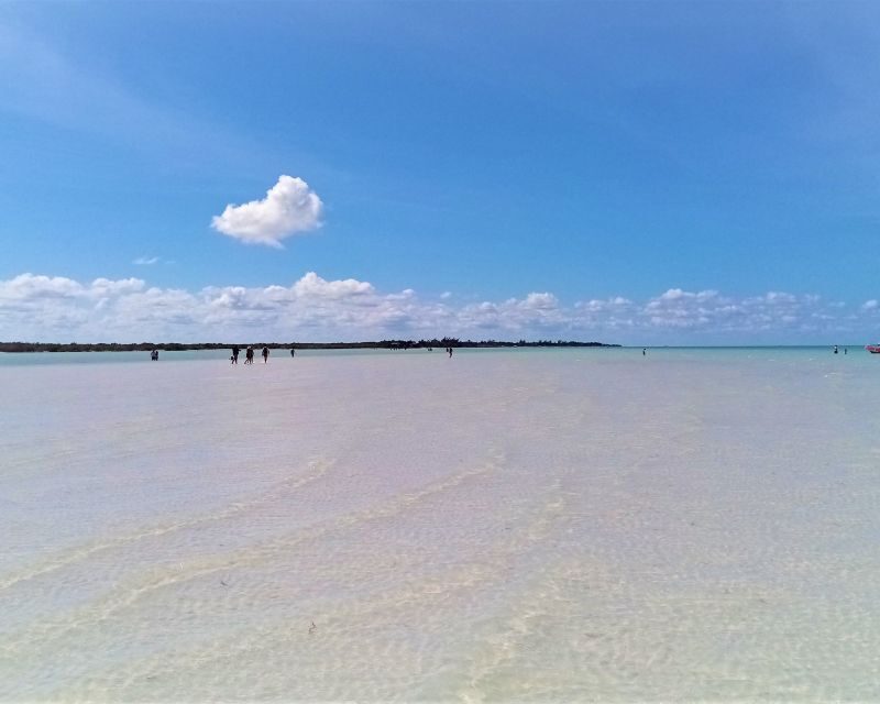 From Riviera Maya: Holbox Full-Day Tour with Lunch - Who Should Consider This Tour?
