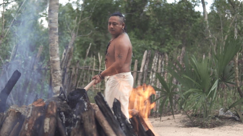 From Riviera Maya: Private Temazcal Ceremony & Cenote swim - Final Thoughts: Is It Worth It?