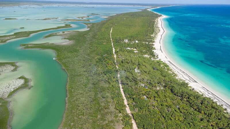 From Riviera Maya: Sian Ka'an Half Day Tour w/ Lunch - Returning to Tulum