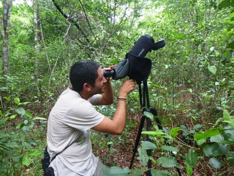 From Riviera Maya : Sian Ka'an Muyil Birdwatching with Guide - Key Points: