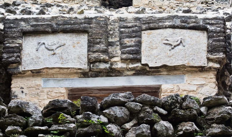 From Riviera Maya : Sian Ka'an Muyil Birdwatching with Guide - FAQ
