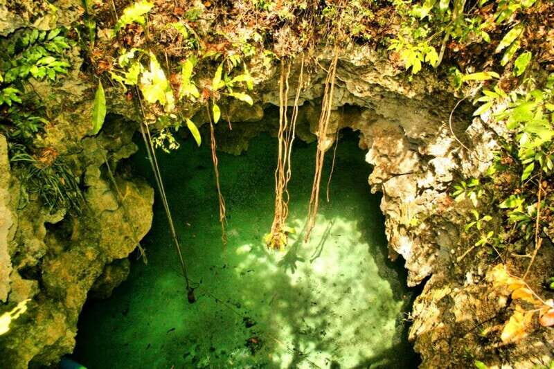From Riviera Maya: Snorkeling & Private Cenote Half-Day Tour - Key Points