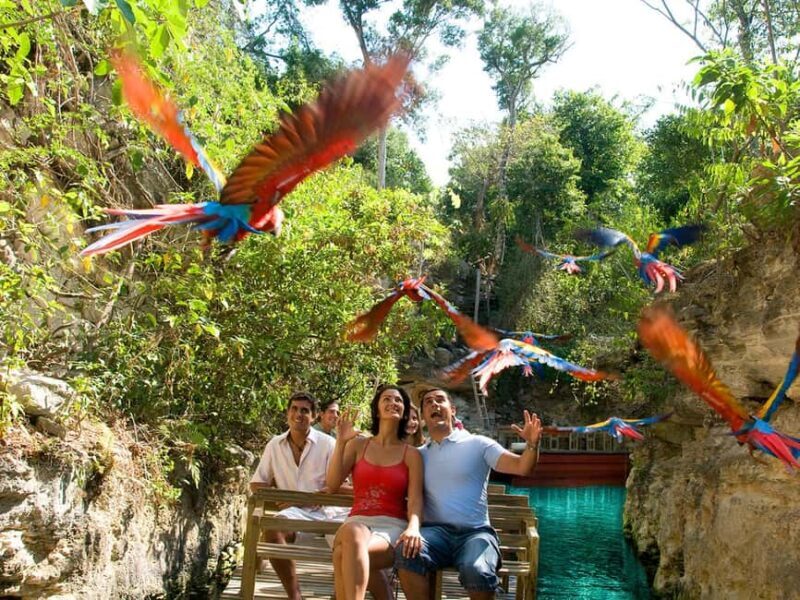 From Riviera Maya: Xcaret Park All-Inclusive - Visiting Practicalities