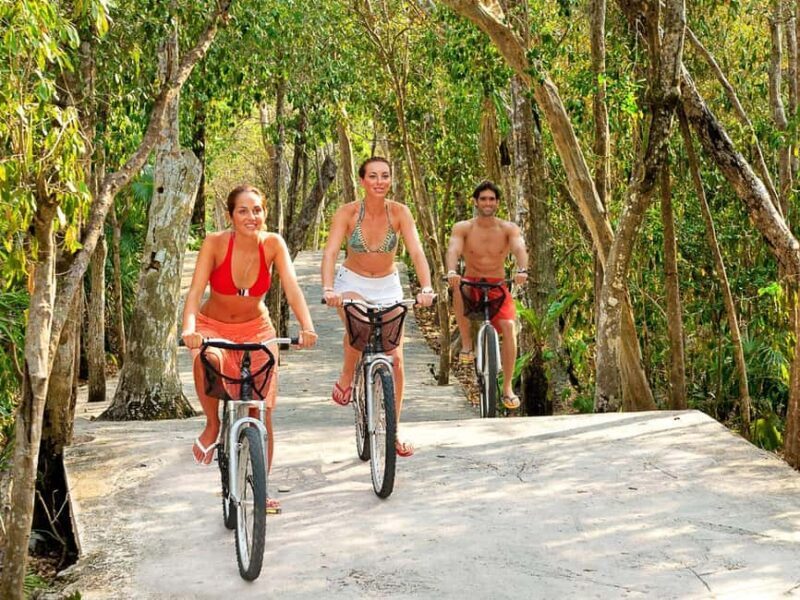 From Riviera Maya: Xel-Há All-Inclusive Park - Key Points