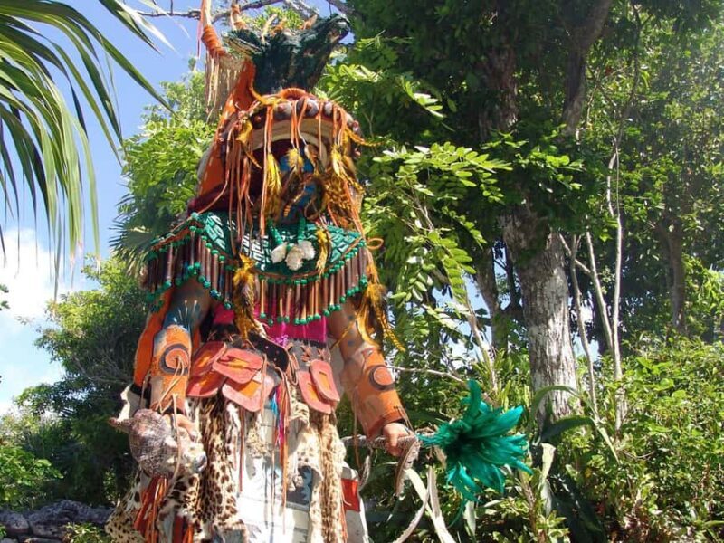 From Riviera Maya: Xel-Há All-Inclusive Park - FAQ