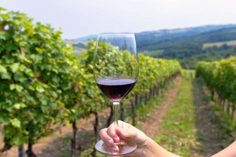 From Roma: Montepulciano and Montalcino, on the Wine Routes - Exploring Tuscany on a Day Trip from Rome: Montepulciano and Montalcino on the Wine Routes