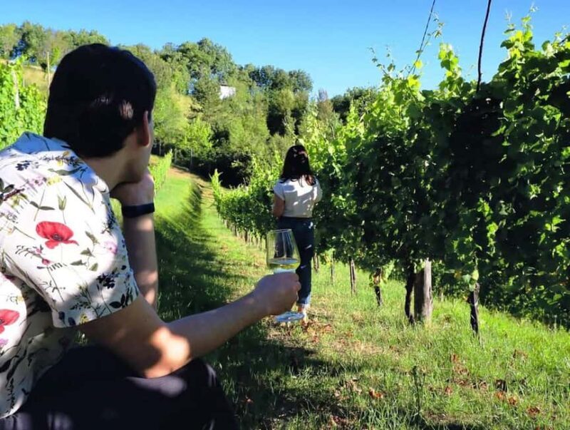 From Rome: Cantina Le Macchie Winery Tour and Tasting - FAQ