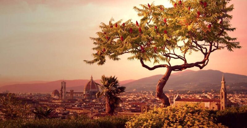 From Rome: Day Trip to Florence by High-Speed Train - Key Points