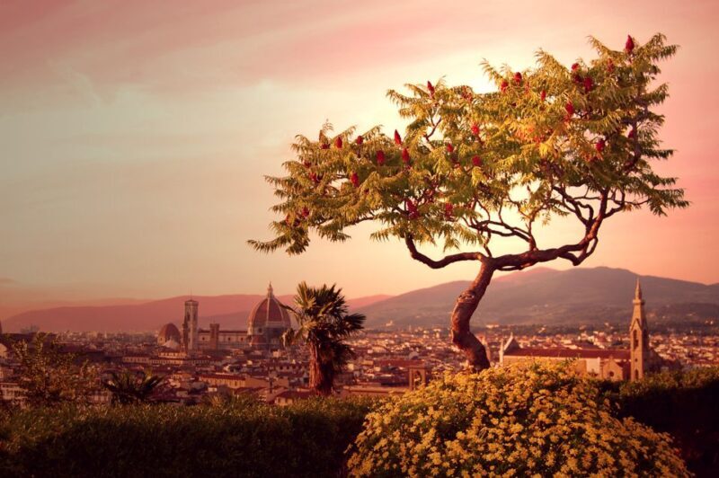 From Rome: Day Trip to Florence by High-Speed Train - An in-Depth Look at the Trip
