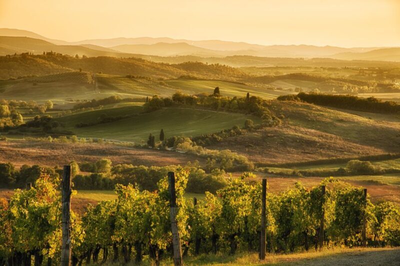 From Rome: Discover Florence and Pisa in a Full-Day Tour - A Practical Overview of the Experience