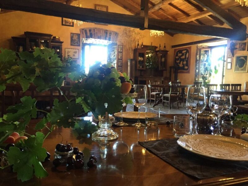 From Rome: Frascati Wine Region Tour with Wine Tasting - The Vineyard and Cellar Experience