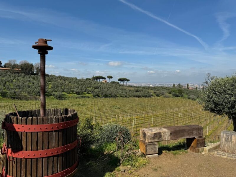 From Rome: Frascati Wine Tour with Lunch and Vineyard tour - The Lunch: A Taste of Roman Comfort Food