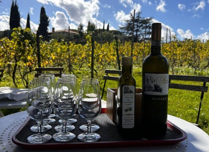 From Rome: Half-Day Frascati Wine Tour with Farmhouse Lunch - Transportation and Overall Value