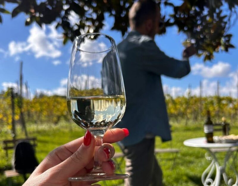 From Rome: Half-Day Frascati Wine Tour with Farmhouse Lunch - Who Will Appreciate This Tour Most?