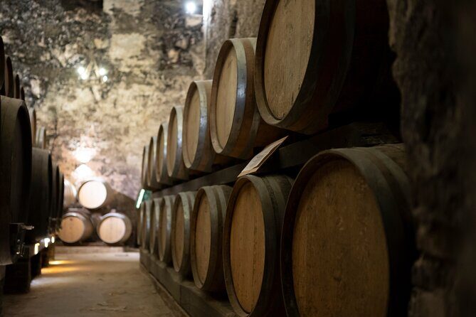 from Rome Montepulciano and Montalcino, the Wine Routes - Introduction