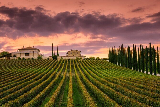 from Rome Montepulciano and Montalcino, the Wine Routes - Key Points