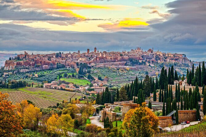 from Rome Montepulciano and Montalcino, the Wine Routes - Price and Value