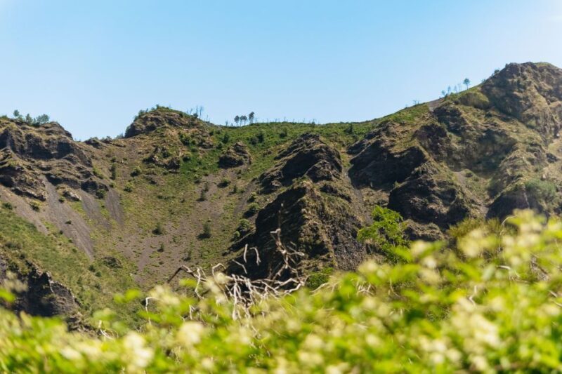 From Rome: Pompeii and Mount Vesuvius Day Trip with Lunch - Key Points