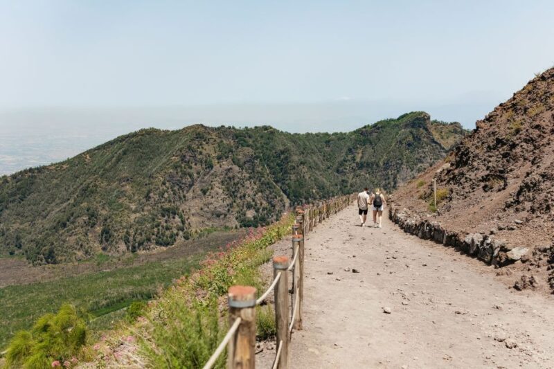 From Rome: Pompeii and Mount Vesuvius Day Trip with Lunch - Who Will Love This Tour?