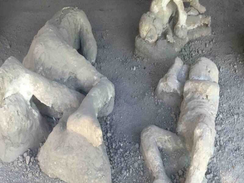 From Rome: Pompeii and Naples, Full Day Tour with Lunch - An In-Depth Look at the Tour Experience