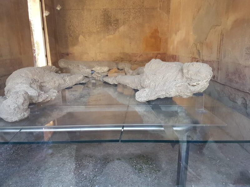 From Rome: Pompeii and Naples with Lunch, Private Day Tour - Why Consider This Tour?
