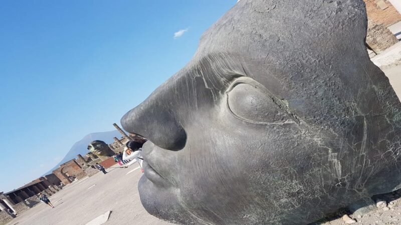 From Rome: Pompeii and Naples with Lunch, Private Day Tour - Who Is This Tour Best Suited For?