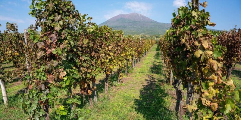 From Rome: Pompeii and Naples with Lunch, Private Day Tour - Final Thoughts