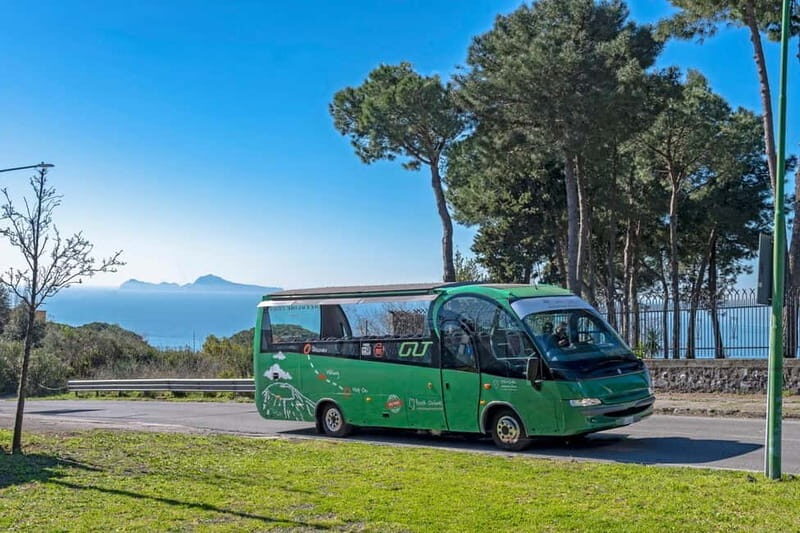 From Rome: Pompeii and Vesuvio Guided Day Trip with Lunch - Key Points