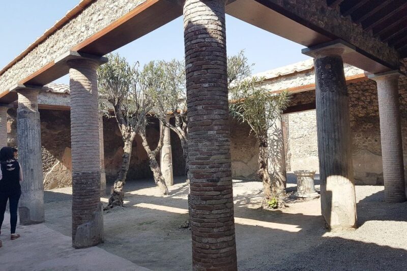 From Rome: Pompeii & Naples Small-Group Day Tour with Lunch - An Overview of the Experience