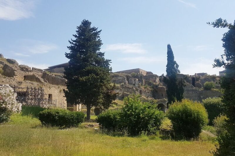 From Rome: Pompeii & Naples Small-Group Day Tour with Lunch - Who Is This Tour Best For?