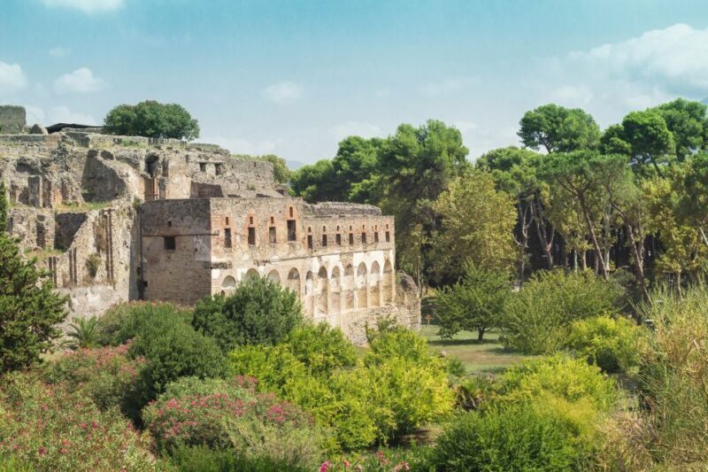 From Rome: Pompeii Private Full-Day Trip with Tour - Final Thoughts