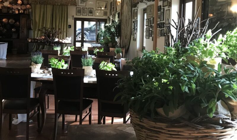 From Rome: Private Countryside Wine Tasting with Lunch - Is It Worth the Price?