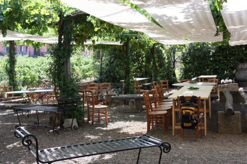From Rome: Private Countryside Wine Tasting with Lunch - Who Will Love This Tour?