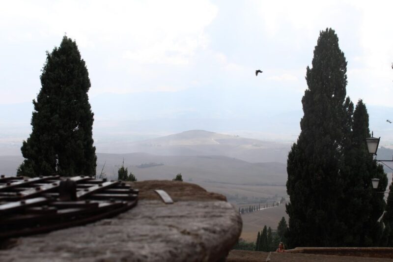 From Rome: Private Day-Tour of Tuscany - Who This Tour Suits Best