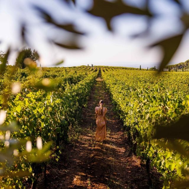 From Rome: Private Day-Tour of Tuscany - What’s Included & What’s Not