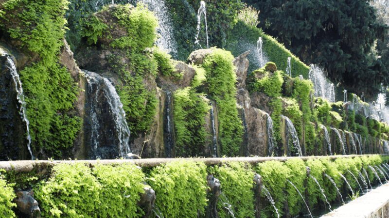From Rome: private transfer + ticket to Villa D'Este - Exploring Villa DEste: What Makes It Special?