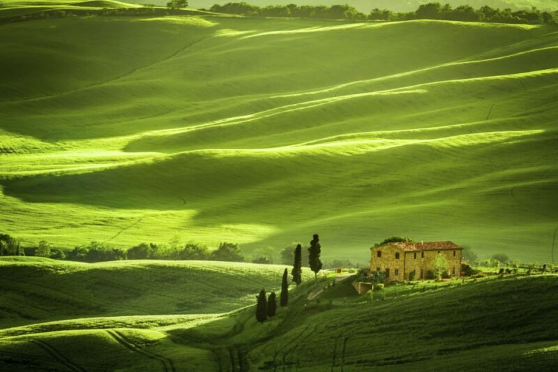 From Rome: Private Tuscany Day Trip - An In-Depth Look at the Tour Experience