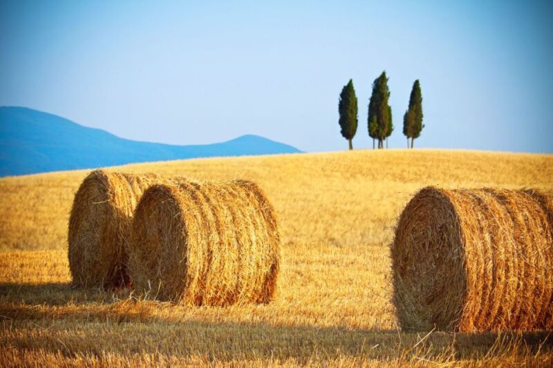 From Rome: Private Tuscany Day Trip - FAQ