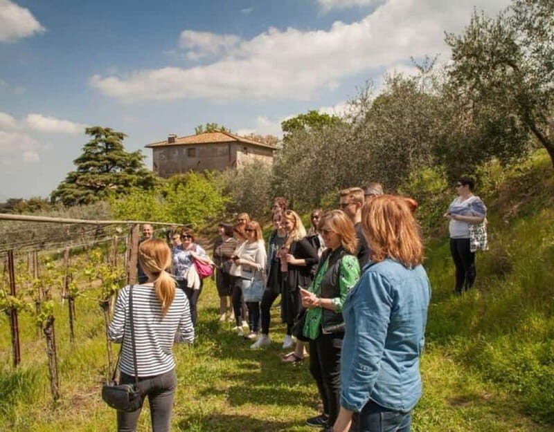 From Rome: Small Group Frascati Wine Tasting and Food Tour - Key Points
