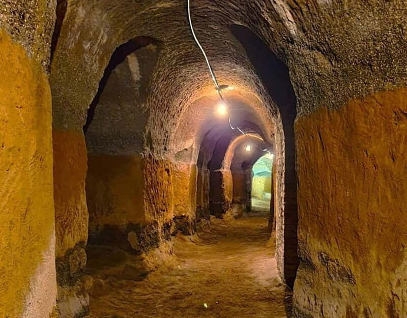From Rome: Small Group Frascati Wine Tasting and Food Tour - An In-Depth Look at Your Frascati Day Trip