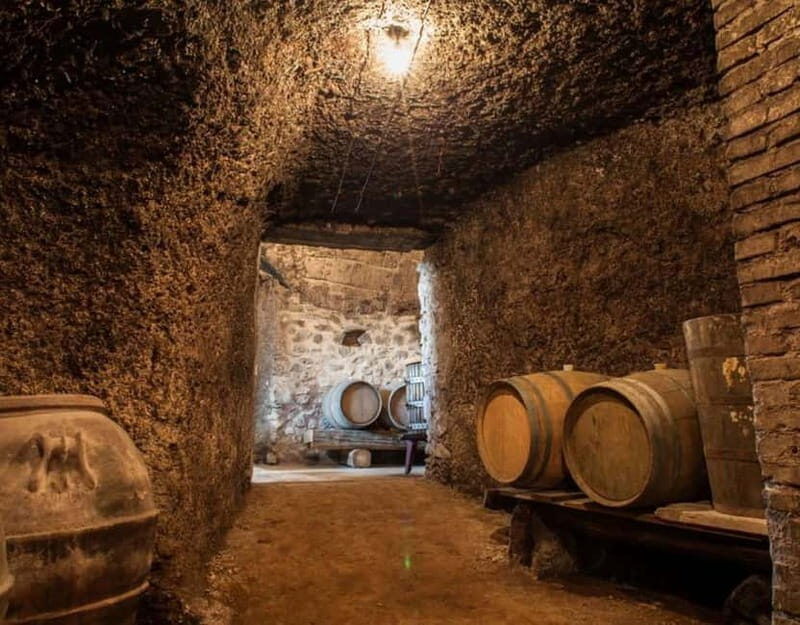 From Rome: Small Group Frascati Wine Tasting and Food Tour - Final Thoughts: Is This Tour Right for You?