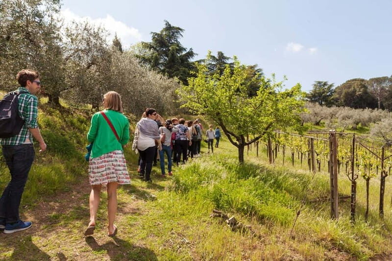 From Rome: Small Group Frascati Wine Tasting and Food Tour - Frequently Asked Questions