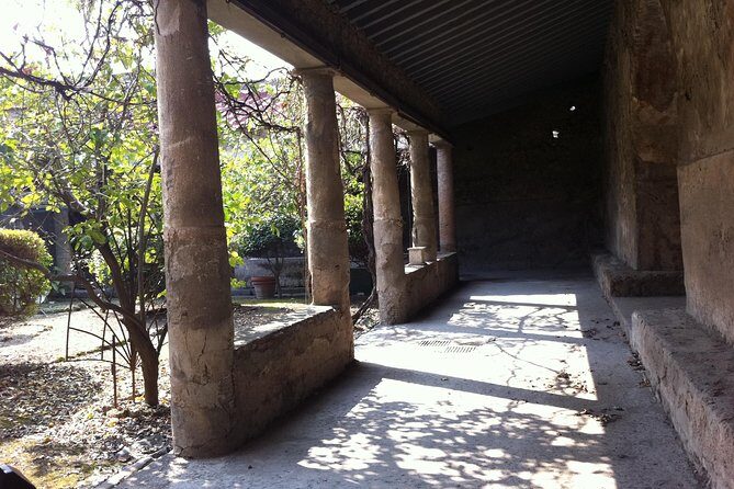From Rome to Ostia Antica - Authentic Experiences and Insights from Reviews