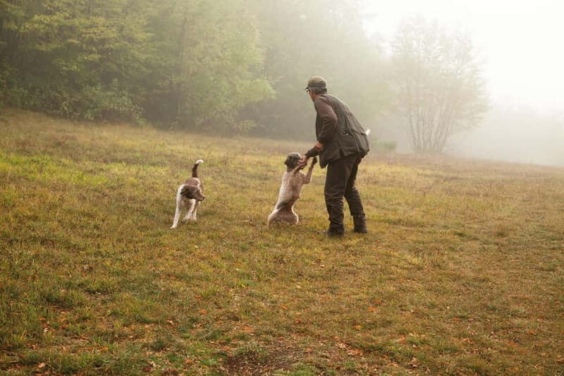 From Rome: Truffle Hunt and Wine Tasting in Umbria - Heavy on Authentic Flavors and Cultural Insights