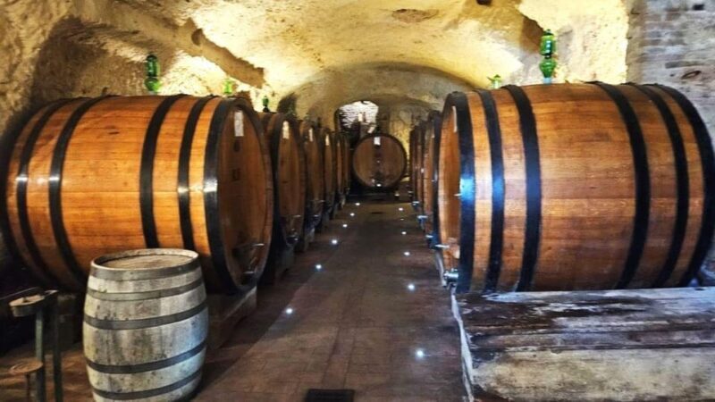 From Rome: Tuscany, Montepulciano Tour with Wine & Lunch - Who Would Enjoy This Tour?