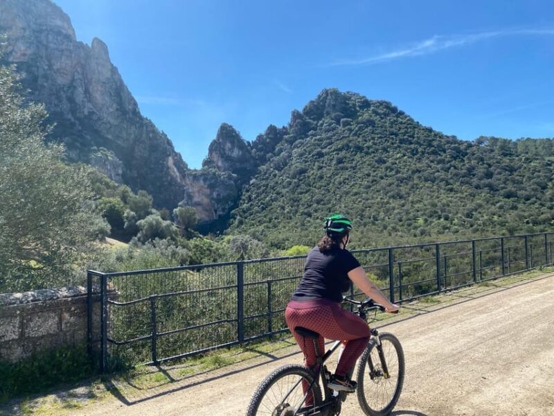 From Ronda: Via Verde de la Sierra Easy Cycling Tour - Reviewing the Experience in Detail