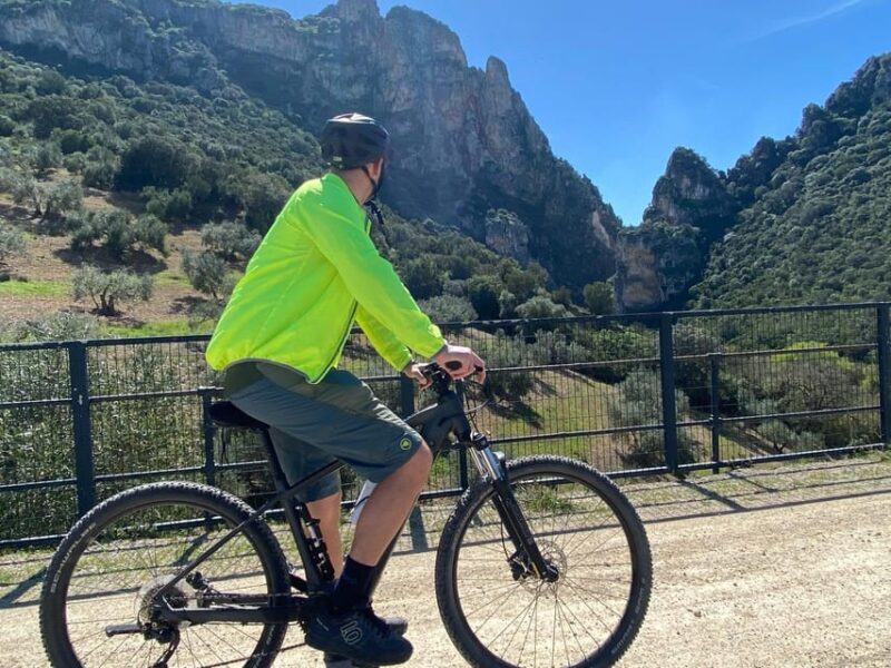 From Ronda: Via Verde de la Sierra Easy Cycling Tour - Final Thoughts: Who Is This Tour Best For?