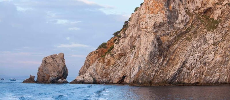 From Roses: Cruise on Costa Brava to Cadaqués - The Heart of the Tour: Involving Coves, Cliffs, and Wildlife