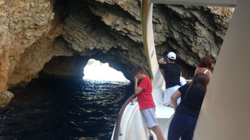 From Roses: Medes Islands Boat Tour with El Estartit Visit - An In-Depth Look at the Tour Experience